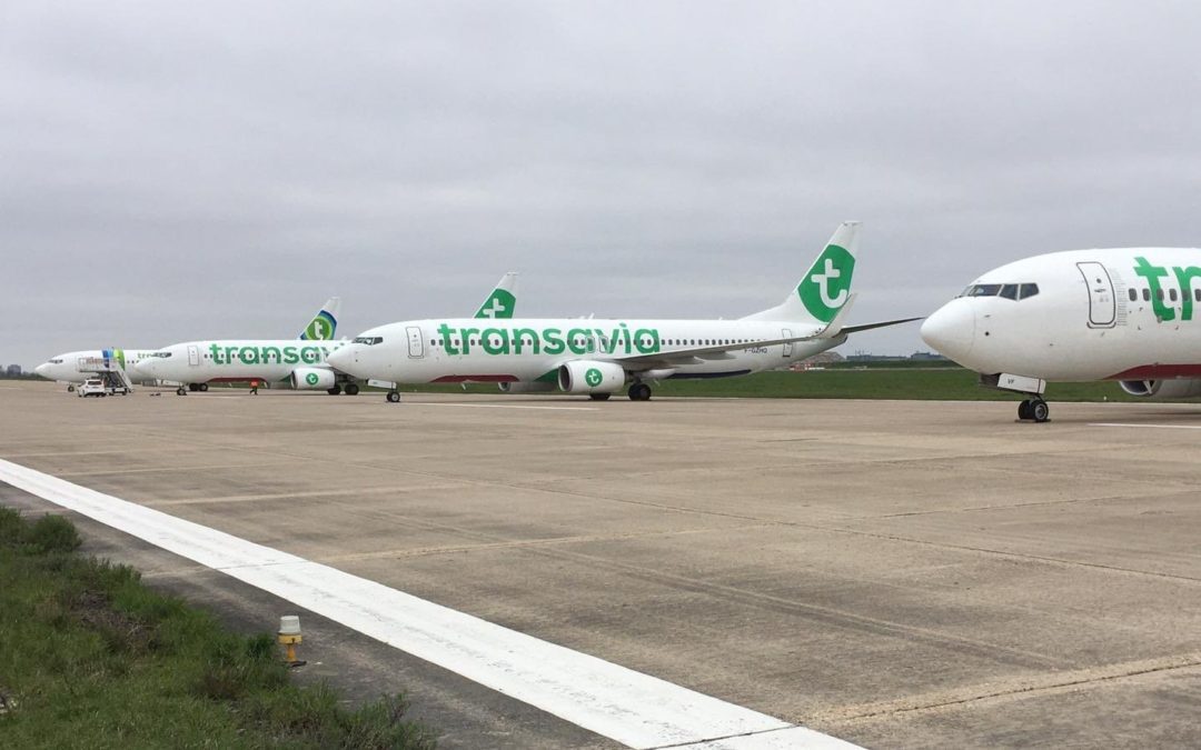 Transavia France can go domestic after union blessing » AirInsight