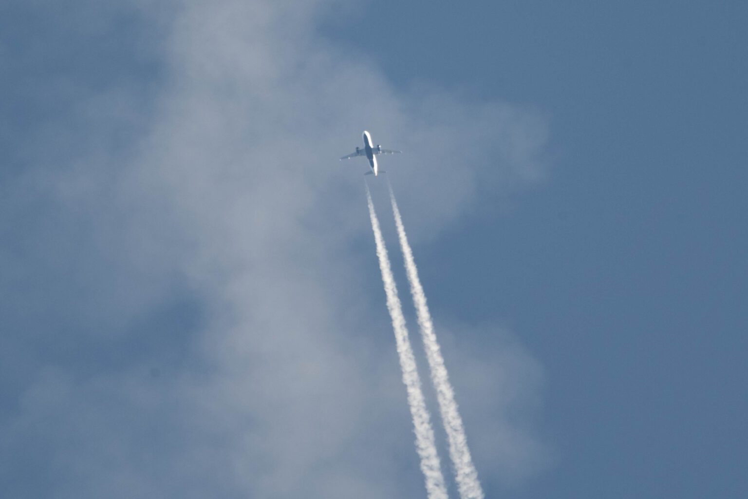 Condor unveils striping new livery